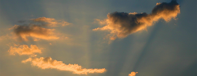 Seeing The Light - WestonJolly.com